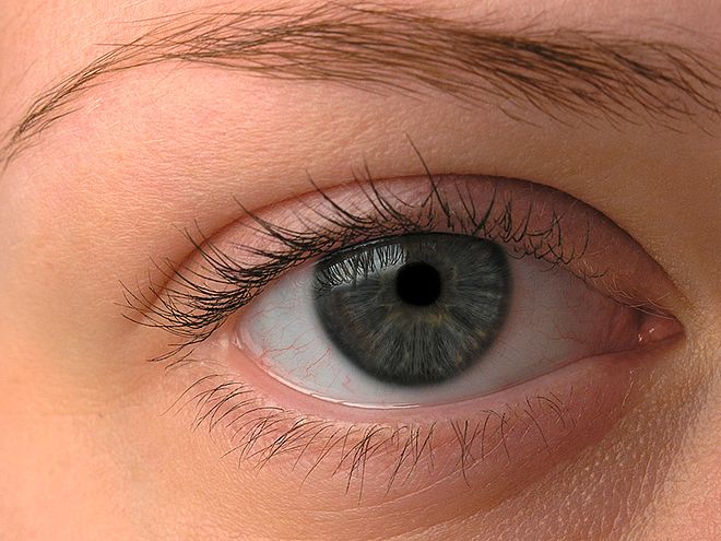 Inflammation de la paupière (blépharite) | HYLO© EYE CARE